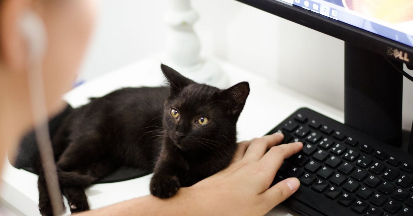 How to respond to negative Yelp reviews: dos & don’ts | Copper